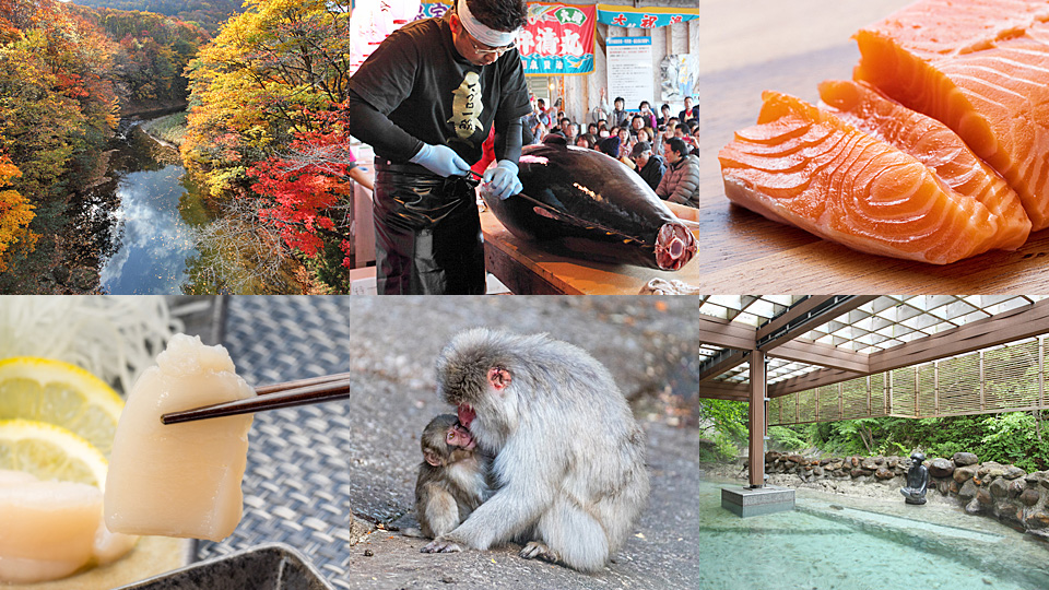 Astounding Aomori ~ Sights, sounds and tastes of Mutsu City Version 2 ...